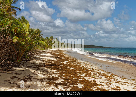 Anse Grosse Roche - Caribbean beach - Le Marin - Martinique - FWI Stock ...