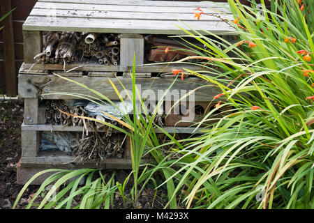 Overwintering insect hide constructed from old pallets tucked away in a ...