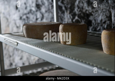 seasoning of cheese in the mine Stock Photo - Alamy