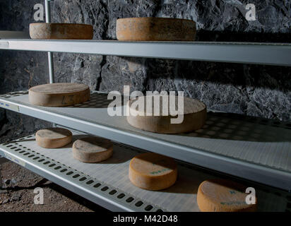 seasoning of cheese in the mine Stock Photo - Alamy