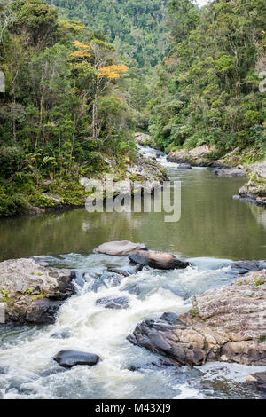 River flowing through Madagascar jungle Stock Photo - Alamy