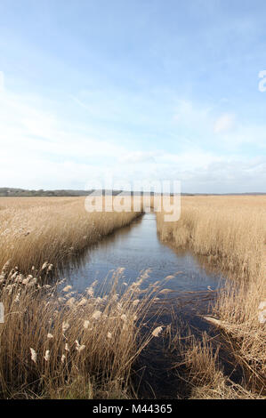 Walberswick National Nature reserve wetland environment marshes ...