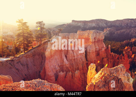 Picturesque colorful pink rocks of the Bryce Canyon National park in ...