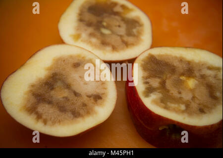 An apple cut open reveals the presence of core rot, seen in New York on ...