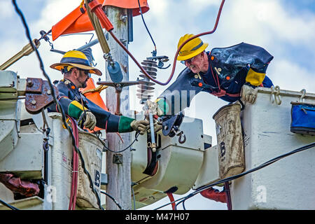 Electrical workers in cherry picker crane work on high tension power ...