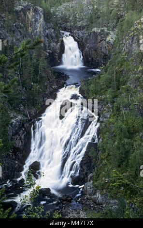 Muddus National Park in Sweden. Lapland. Muddusfallet, Muddus National ...