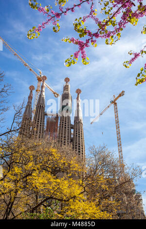 Famous architecture masterpiece Sagrada Familia in Barcelona Stock ...