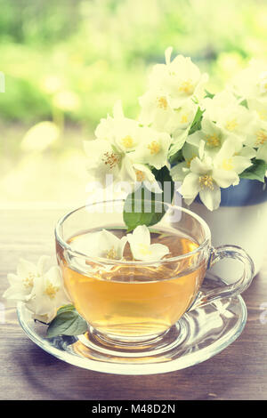 Branch of blooming fragrant white jasmine flowers isolated on black ...