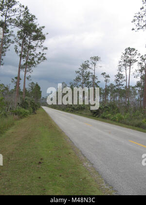 Long Pine Key Nature Trail Stock Photo - Alamy