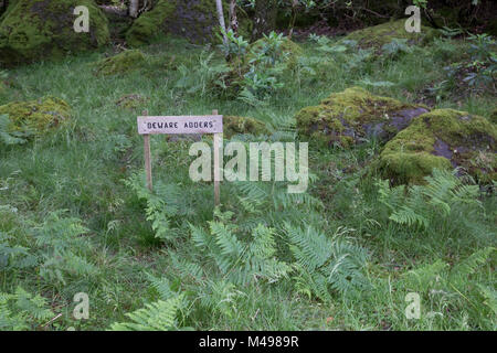 Warning sign beware adders near path Lochbuie Isle of Mull Scotland ...