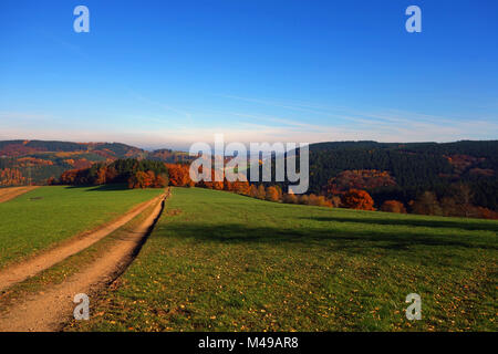 Autumn in forest, Sauerland, Germany Stock Photo - Alamy