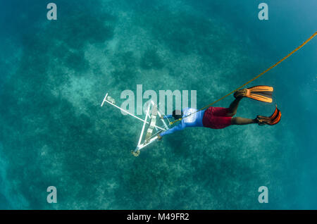 BRUV (Baited remote underwater video) monitoring research of large ...