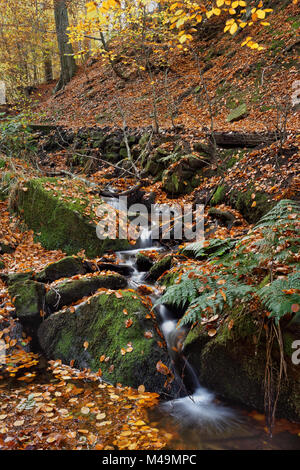 UK, South Yorkshire, Sheffield, Porter Clough Waterfalls in Autumn ...