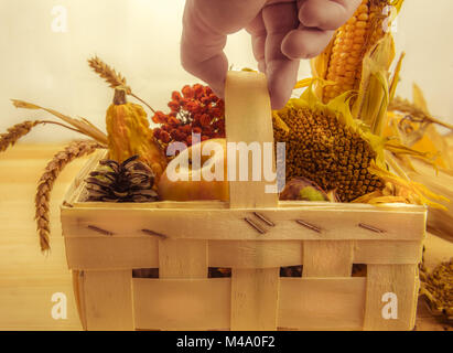 Farmers hand holding a basket with seasonal products, wooden basket ...