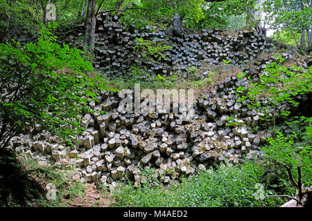Basalt columns in the Gangolfsberg nature reserve in the core zone of ...