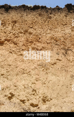 Vertical cross section of Clay soil Stock Photo - Alamy