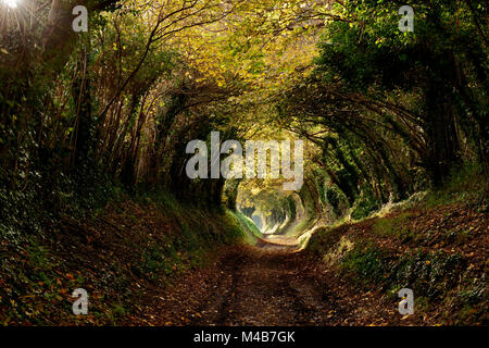 Halnaker Windmill in the South Downs National Park, near Chichester ...