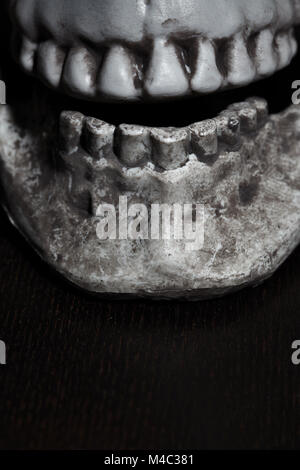 Human skull, front view Stock Photo - Alamy