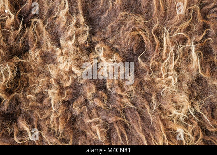 Buffalo fur texture Stock Photo - Alamy