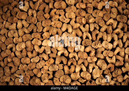 Piles of bones in the Catacombs of Paris an underground ossuary in ...