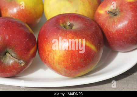 Malus domestica Natyra, Sort of Apples Stock Photo - Alamy