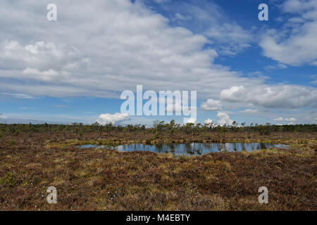 Black Moor" nature reserve, Rhön Biosphere Reserve, Lower Franconia ...