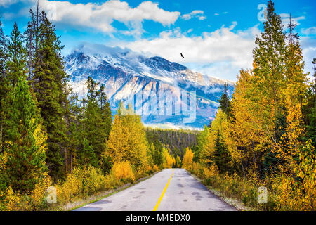 Canadian Rockies. Beautiful September day. Magnificent views of the ...