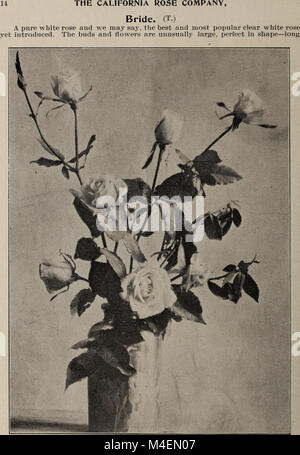 Annual catalogue of field grown roses on own roots - open ground ...