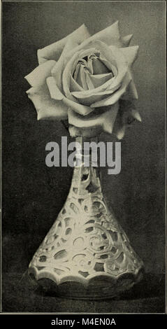Annual catalogue of field grown roses on own roots - open ground ...