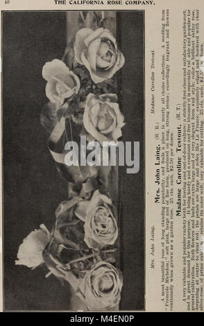Annual catalogue of field grown roses on own roots - open ground ...