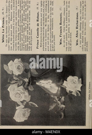 This catalog details various field, garden, and flower seeds, offering ...