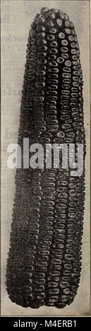 The *Annual of True Blue Seeds* (1905) is a catalog featuring various ...