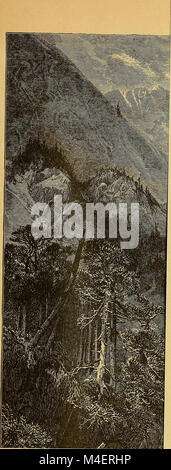 This annual report (1867-1878) provides a comprehensive summary of the activities, financial ...