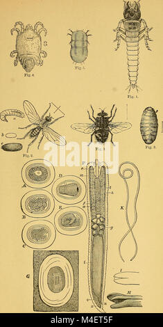 The 'Annual Report' (1867-1878) provides detailed records of the ...