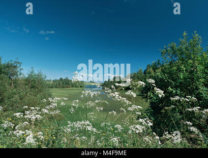 Russian summer meadow Stock Photo - Alamy