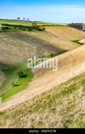 Horsedale valley on the Yorkshire wolds with grazing meadows, dry ...