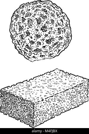 sponge bath tool with foam Stock Vector Image & Art - Alamy