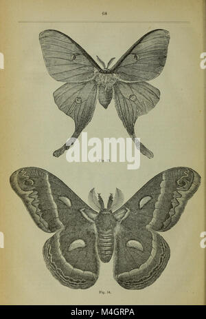 The 1883 Annual Report of the Entomological Society of Ontario details ...