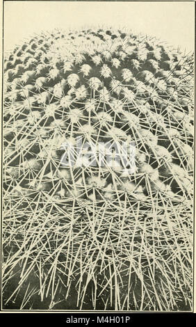The 1908 Annual Report of the Board of Regents of the Smithsonian ...
