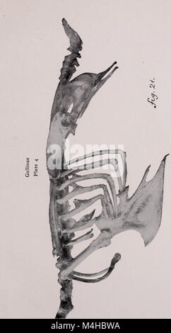 The 1908 Annual Report of the Regents provides an overview of the ...