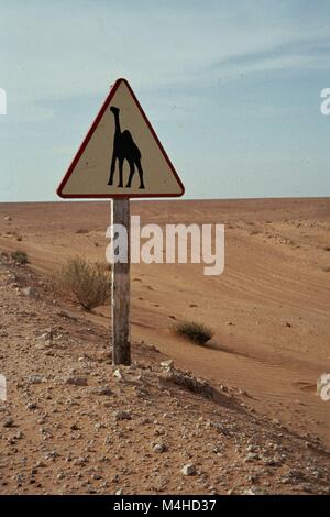Road signs in the Sahara Desert are written with Arabic and Latin ...