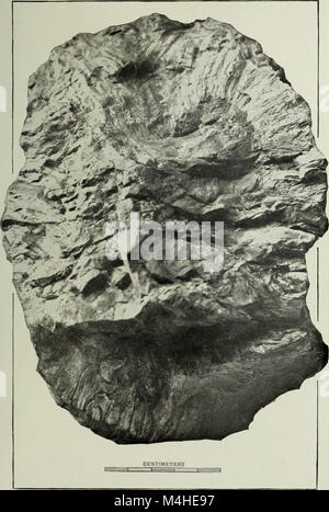 A comprehensive annual report detailing the geological and geographical ...