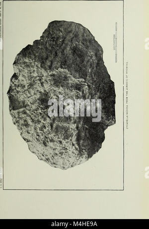 The 1898 Annual Report of the United States Geological Survey provides ...