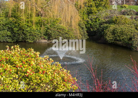 British Gardener Percy Thrower statue in the beautiful Quarry garden in ...
