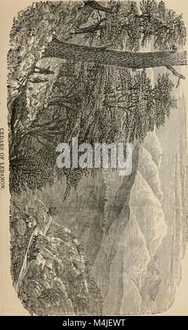 This work unveils the antiquities of the Orient, including detailed ...