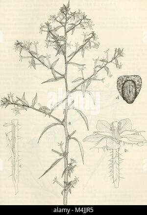 This 1972 work catalogs the aquatic and wetland plants native to the ...