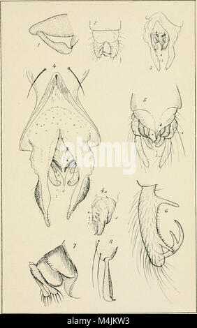 The 1903 study on aquatic nematocerous diptera focuses on the taxonomy ...