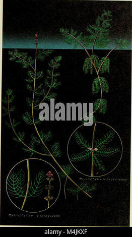 This guide provides identification and control methods for various ...