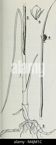 This illustrated manual serves as a comprehensive guide to modern bee ...