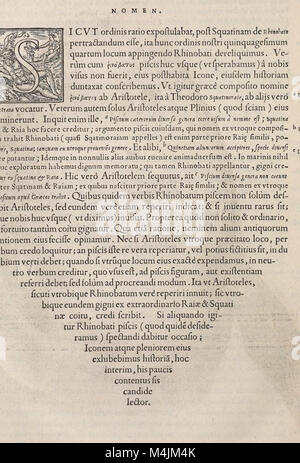 The 1554 work 'Aquatilium Animalium Historiae' (History of Aquatic ...